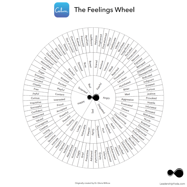The Feeling Wheel - Feel your emotions - LeadershipYoda